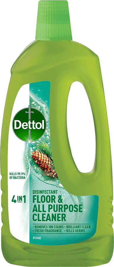 Dettol 4 in 1 Floor and All Purpose Cleaner 750 ml Pine | Dettol